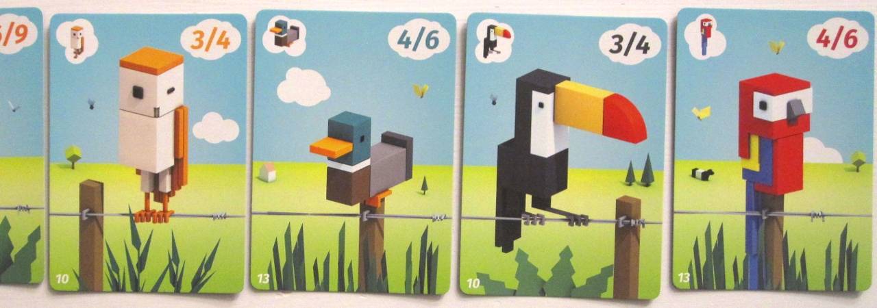 CuBirds - Spielkritik, Rezension des Kartenspiels, Boardgamecircus